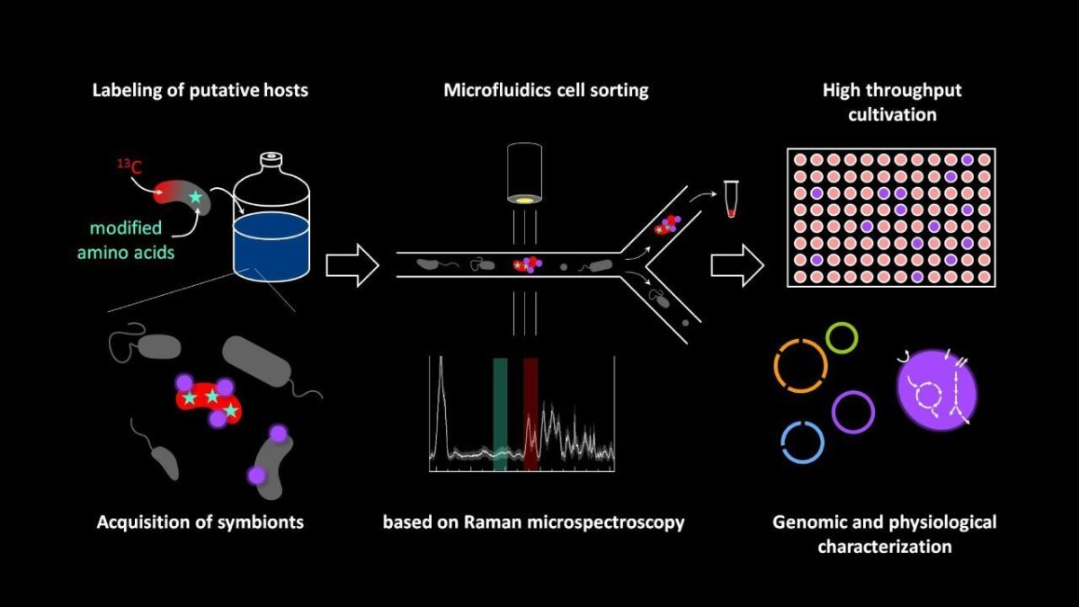 Tracking Microbial Interactions