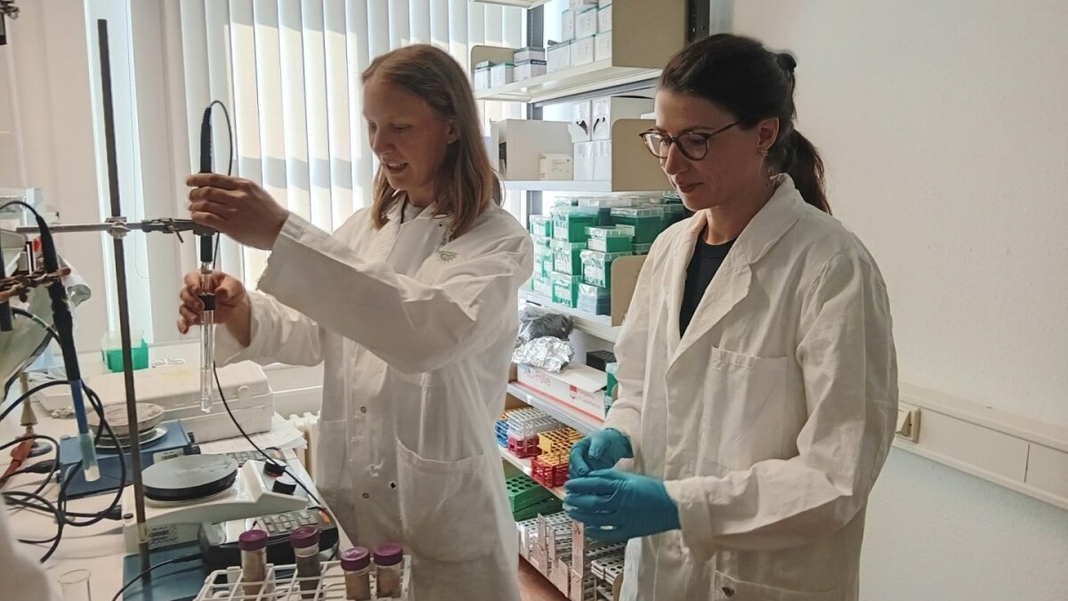 Haley Sapers at Küsel Lab